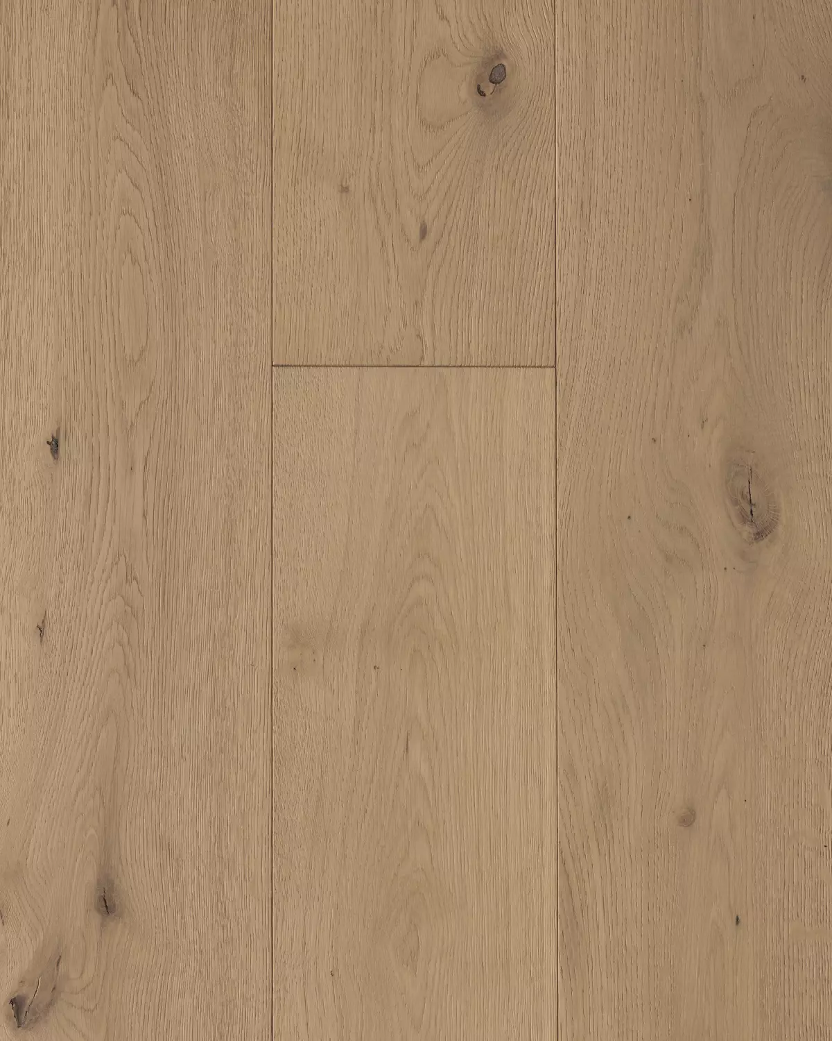 Haven Toronto Feature Plank 14mm | Forté AU