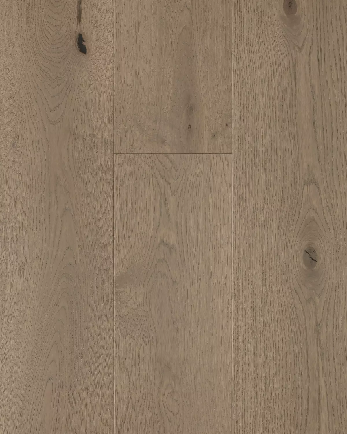 Moda Verona Feature Plank | Forté AU